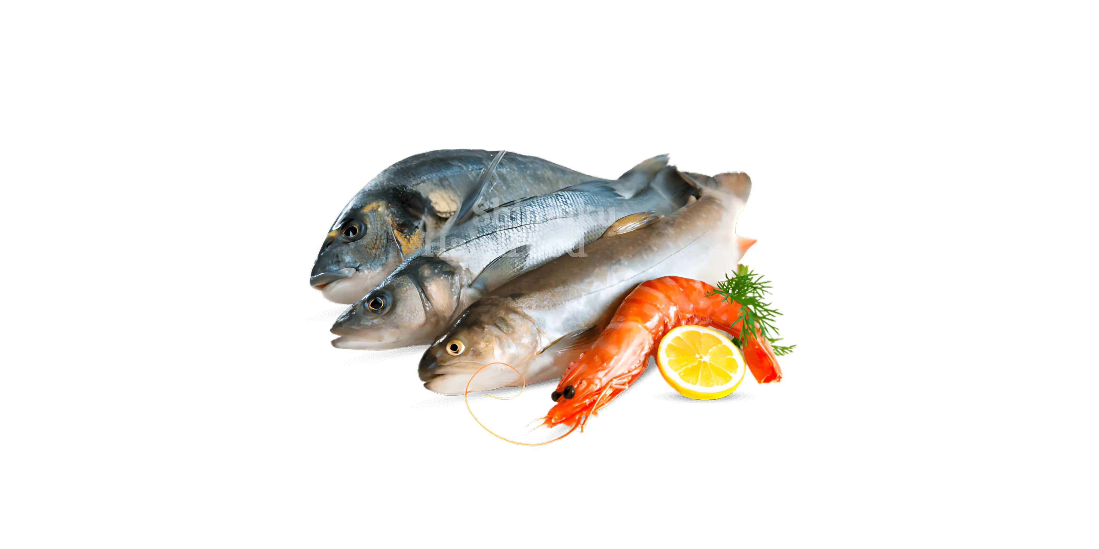 Fresh Fish – Amin Halal Food